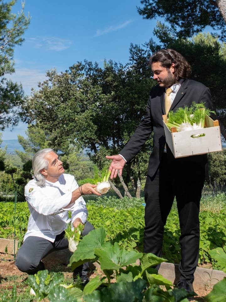 Le Phebus & Spa | Hotel Spa Vaucluse | SITE OFFICIEL